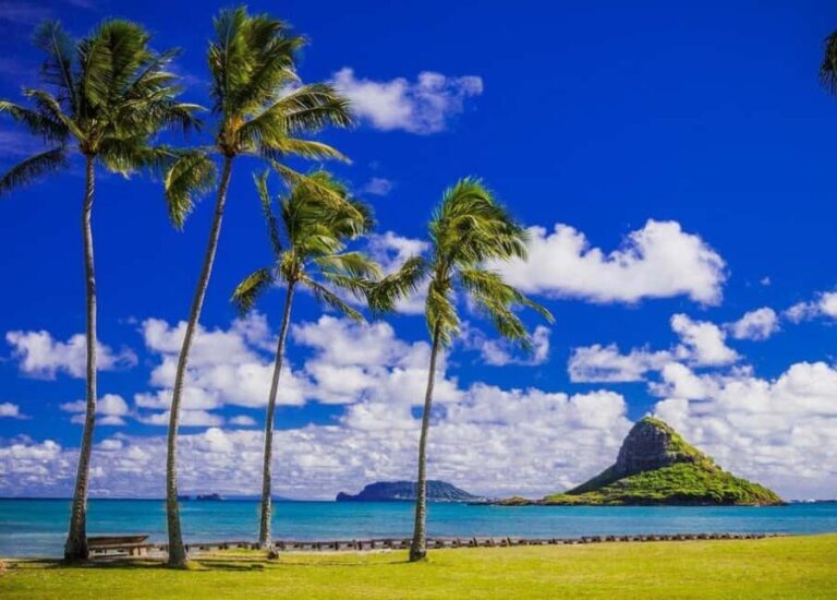 Oahu: Grand Circle Island Tour with Haleiwa - The Practical Side: What to Expect