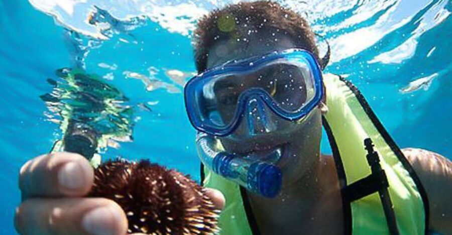 Oahu: Hilton Hawaiian Village Snorkel Tour - Who Will Love This Tour?