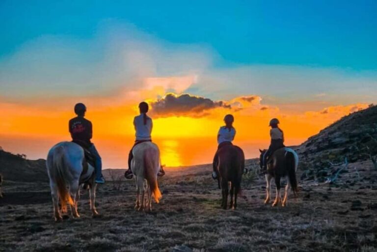 Oahu: Horseback Riding Sunshine or Sunset Tour - Is It Worth the Price?