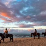 Oahu: Horseback Riding Tour on the North Shore - Practical Details & Value