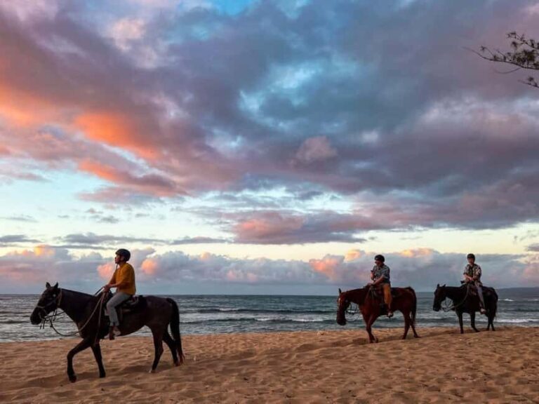 Oahu: Horseback Riding Tour on the North Shore - Practical Details & Value