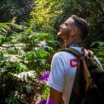 Oahu in a Day: Waterfall - Food Trucks - Lookouts - Small Crowds - Detailed Breakdown of the Itinerary