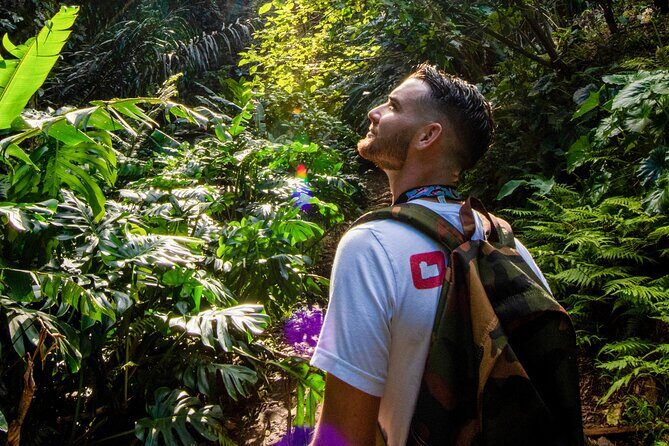 Oahu in a Day: Waterfall - Food Trucks - Lookouts - Small Crowds - Detailed Breakdown of the Itinerary