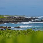 Oahu: Private Tour-Circle Island-Customizable - The Itinerary Breakdown