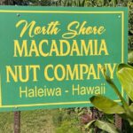 Oahu Private Tour North Shore, Waimea Falls and Dole Plantation - The Value and Price Point
