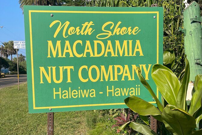 Oahu Private Tour North Shore, Waimea Falls and Dole Plantation - The Value and Price Point