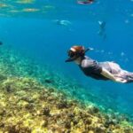 Oahu: Snorkel Adventure in Marine Sanctuary - What’s Included and What’s Not