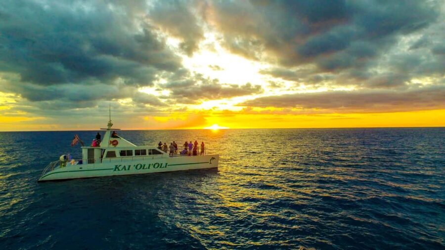 Oahu: Sunset Snorkeling, Dolphin Watch Cruise, Hawaiian meal - Logistics and Practicalities