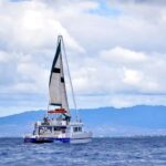 Oahu: Waikiki Whale Watching Cruise - The Itinerary and What to Expect