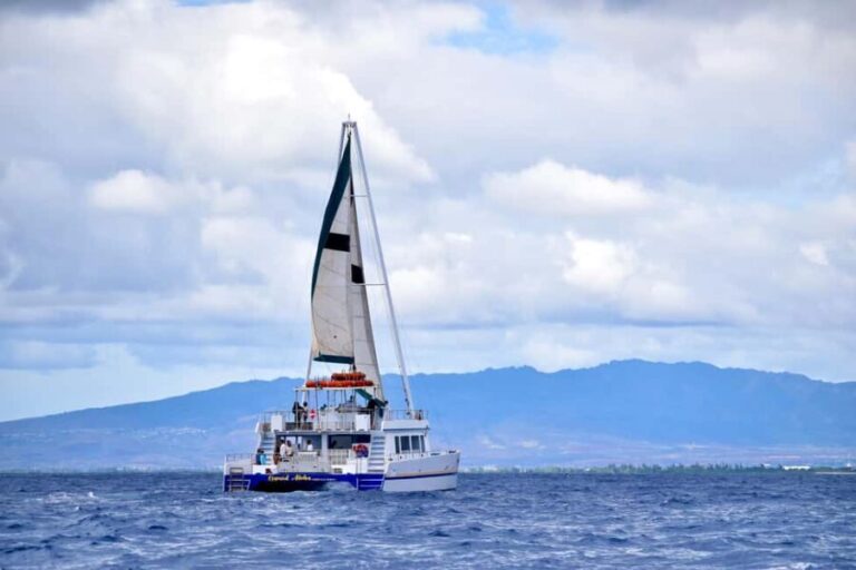 Oahu: Waikiki Whale Watching Cruise - The Itinerary and What to Expect