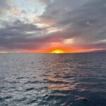 Oahu: Whale Sail Charter - The Setting and What to Expect