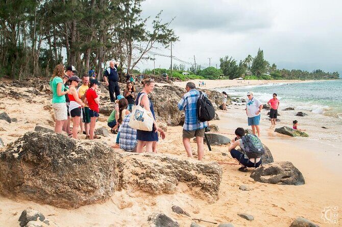 Oahu's Cheapest Circle Island Tour - Real Experiences and Honest Feedback