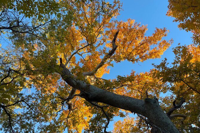 Oak Creek Canyon, with Native American history and Chapel too! - The Value Proposition