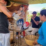 Oaxaca: Ancestral Mezcal Tasting in Ocotlan Valley - What Travelers Can Expect: Practical Details