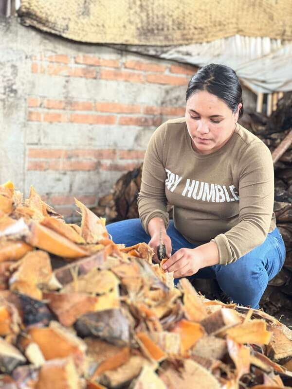 Oaxaca: Empowering Women Private Tour - Discovering Oaxaca’s Women-Led Crafts