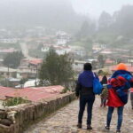 Oaxaca: Forest and Nature Walking Experience - Who Should Take This Tour?