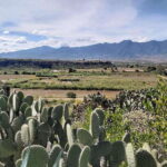 Oaxaca: La Culebra - Prehistoric Caves 1 Day Bike Tour - Scenic Bike Ride and the Path Less Traveled