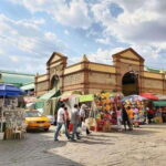 Oaxaca: Monte Alban & City of Oaxaca Private Tour - Who Will Love This Tour?