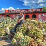 Oaxaca: Monte Albán, Hierve el agua, Mezcal and Teotitlán - The Practical Aspects: What You Need to Know