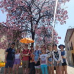 Oaxaca: Oaxaca City Beyond the Surface Walking Tour - The Guide and Experience Quality