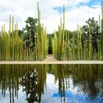 Oaxaca Scavenger Hunt and Sights Self Guided Tour - Who Will Love This Tour?