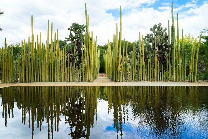Oaxaca Scavenger Hunt and Sights Self Guided Tour - Who Will Love This Tour?