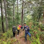 Oaxaca: Sierra Norte Ixtepeji Guided Hike & Lunch, Half-Day - The Itinerary: What to Expect on Your Mountain Adventure