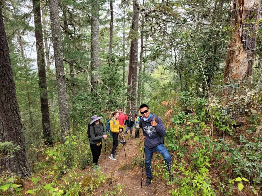 Oaxaca: Sierra Norte Ixtepeji Guided Hike & Lunch, Half-Day - The Itinerary: What to Expect on Your Mountain Adventure