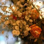 Oaxacan Dinner on Agronomic Biodiversity - Who Should Consider This Experience?