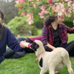 Oberon: Kenzell Farm Tour  A Hands-On Animal Adventure! - The Practicalities: What You Need to Know