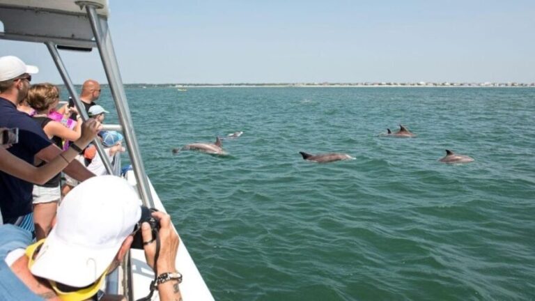 Ocean City, MD: Coastal Speedboat Tour with Dolphin Spotting - What to Expect on the Speedboat Tour