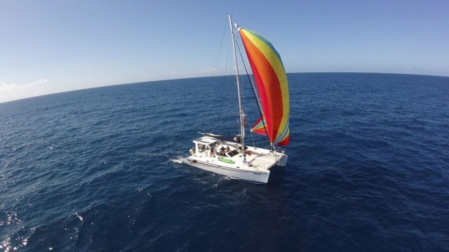 Ocean City: Sailing Catamaran Cruise with Crew - An In-Depth Look at the Sailing Catamaran Experience