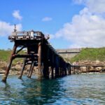 Ocean Explorer Tour from Lake Macquarie - The Sum Up