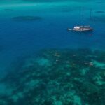 Ocean Free 25 guest Great Barrier Reef & visit Green Island Tour - Immersive Marine Education