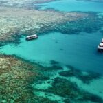 Ocean Freedom Great Barrier Reef Luxury Snorkel and Dive Cruise - What Makes This Tour Stand Out?