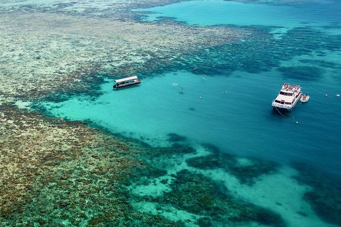 Ocean Freedom Great Barrier Reef Luxury Snorkel and Dive Cruise - What Makes This Tour Stand Out?