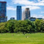 Official Central Park Walking Tour - What You’ll Learn from Your Guide