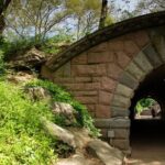 Official Who Built Central Park Walking Tour - Practical Details and What You Can Expect