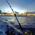 Offshore fishing around the Teahupo'o wave - The Itinerary: What to Expect
