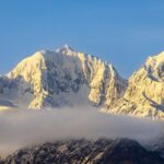 Okarito Nature Tour - Value and Practical Aspects