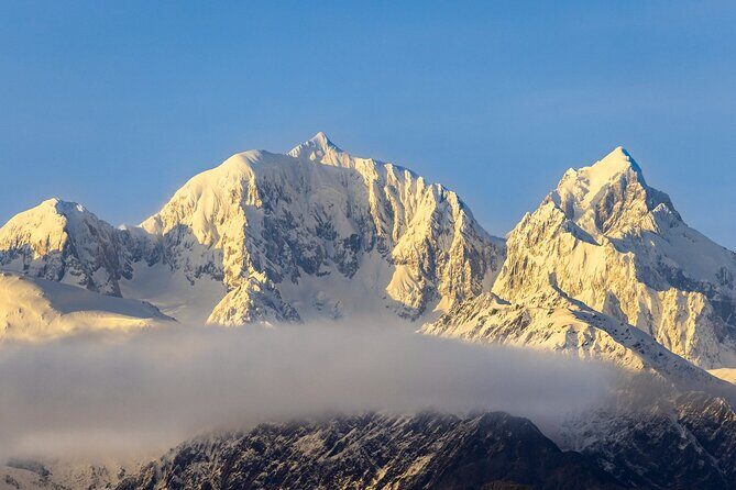 Okarito Nature Tour - Value and Practical Aspects