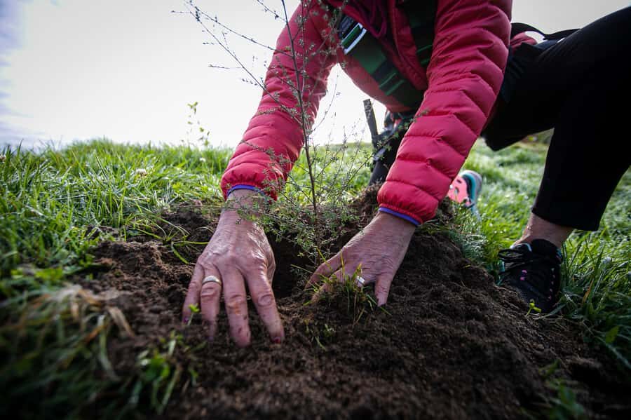 Okere Falls: Zipline over Waterfalls Experience - The Itinerary Breakdown