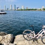 Old Milwaukee Lite 1:30pm E-Bike Tour - Authentic Insights from Previous Travelers