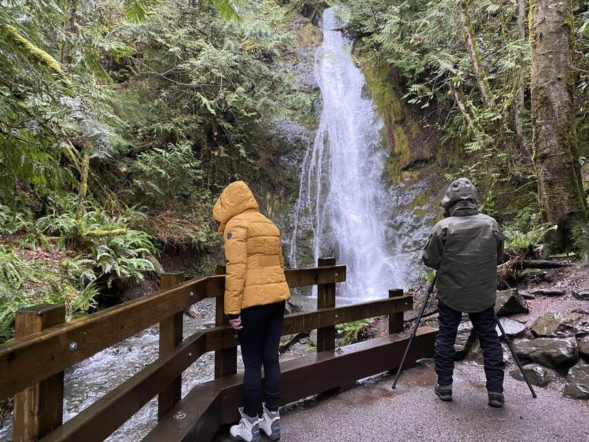 Olympic National Park: Half-Day Tour - What to Expect at Each Stop