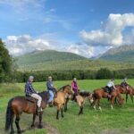 One and Half Hour Trail Ride at The Base of Chugach Mountains - The Guides and Group Experience