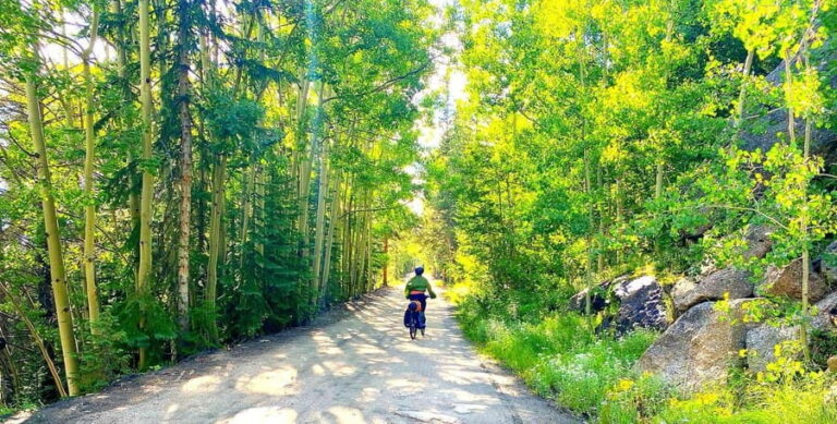 One Day E-Bike Tour In The Colorado Rockies - Why This Tour Provides Great Value