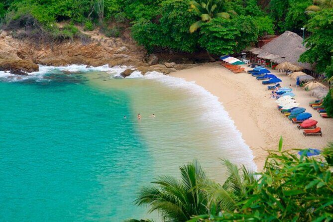 One Day from Oaxaca Getaway to Puerto Escondido - Insights from Real Travelers