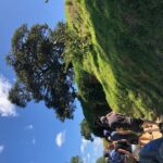 One day Hobbiton Movie set visit from Auckland - Practical Tips for Making the Most of Your Day