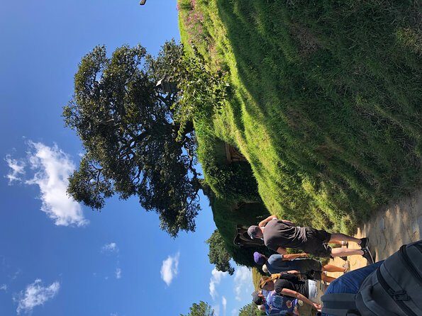 One day Hobbiton Movie set visit from Auckland - Practical Tips for Making the Most of Your Day