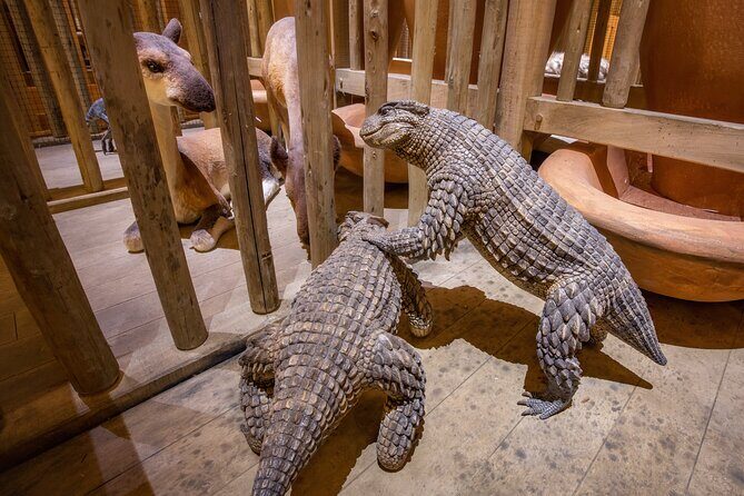 One Day Tour Nashville To Ark Encounter - Actual Experience from Travelers